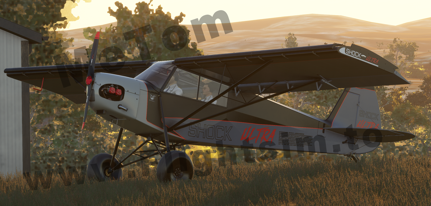 Savage Shock Ultra Black and Gray for Microsoft Flight Simulator | MSFS