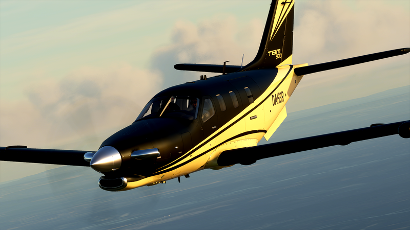 Daher TBM 930 Liveries for Microsoft Flight Simulator | MSFS