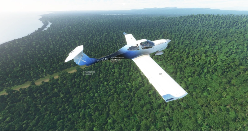 Diamond DA40-NG - NEXGEN Pilot School [VERSION 1.10.7.0] for Microsoft ...