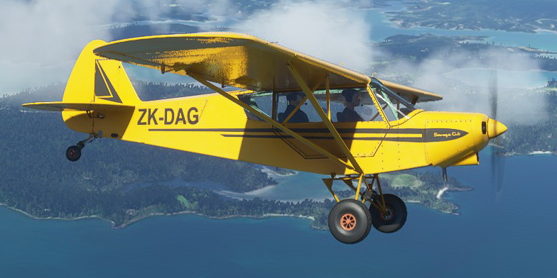 Zlin Savage Cub Liveries for Microsoft Flight Simulator | MSFS