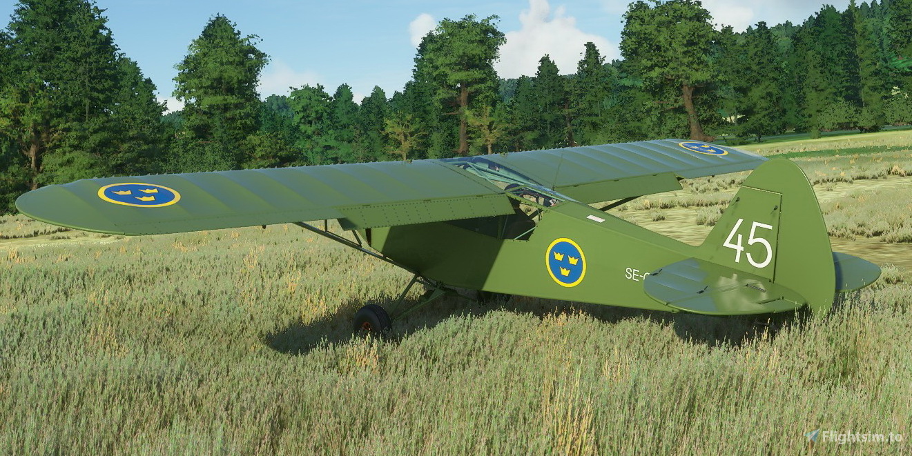 Savage Cub SE-GCK for Microsoft Flight Simulator | MSFS