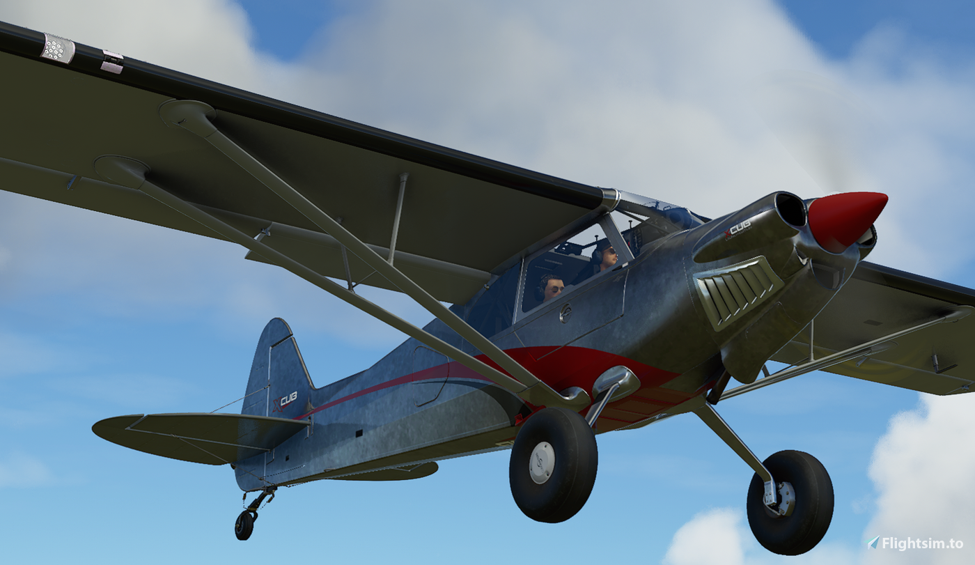 X-Cub Galvanised Bare Steel for Microsoft Flight Simulator | MSFS