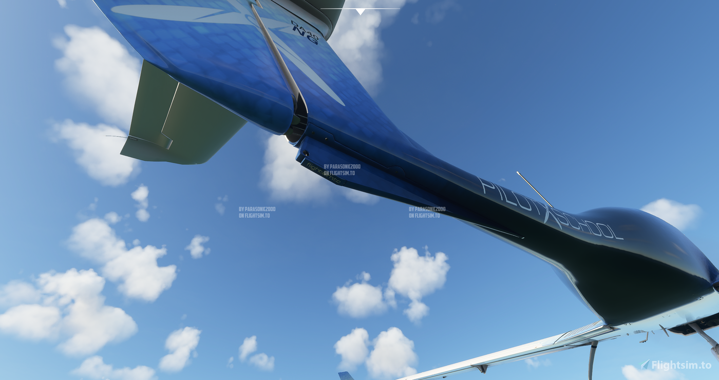 Diamond DA40-NG - NEXGEN Pilot School [VERSION 1.10.7.0] for Microsoft ...