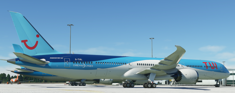Boeing 787 Liveries for Microsoft Flight Simulator | MSFS