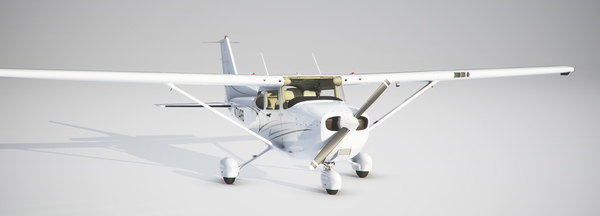 Civil Air Patrol C172 G1000 N115CP for Microsoft Flight Simulator | MSFS