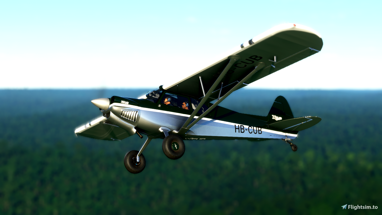 Cub Crafter X-Cub Liveries for Microsoft Flight Simulator | MSFS ...