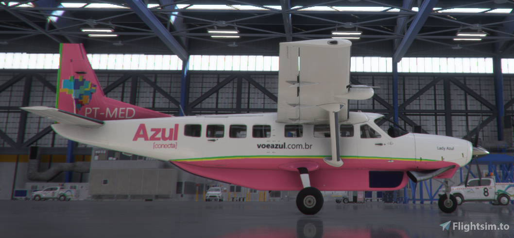 Azul Conecta, PT-MEM and PT-MED for Microsoft Flight Simulator | MSFS