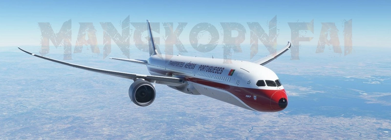 Boeing 787 Liveries for Microsoft Flight Simulator | MSFS