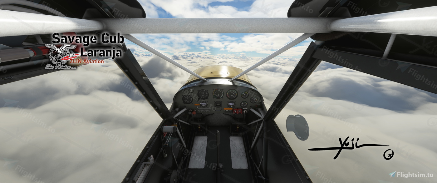 Savage Cub Classy for Microsoft Flight Simulator | MSFS