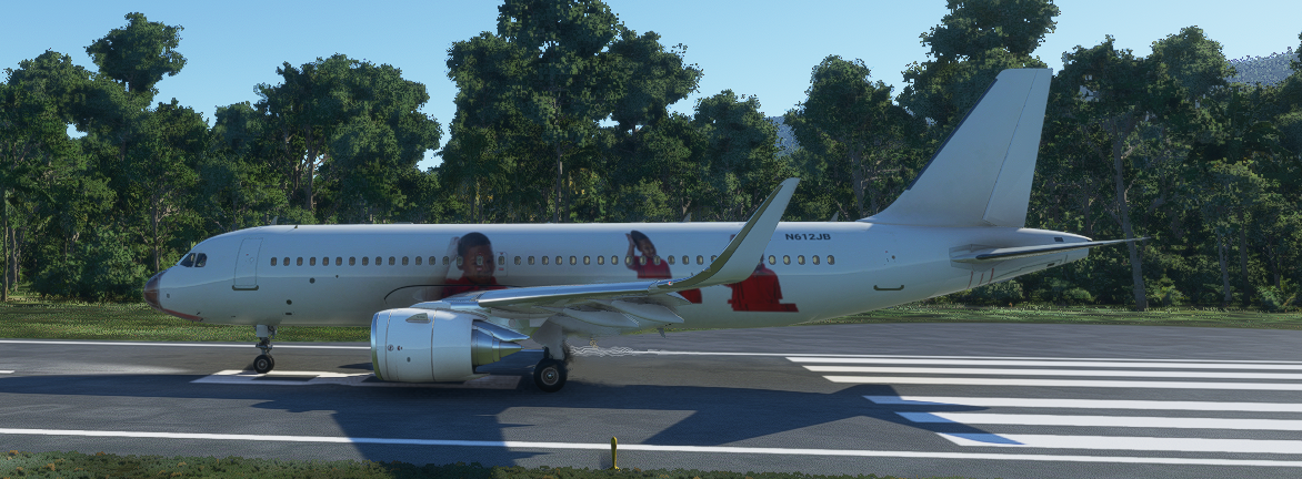 CURSED THINKING KID - MEME LIVERY for Microsoft Flight Simulator | MSFS
