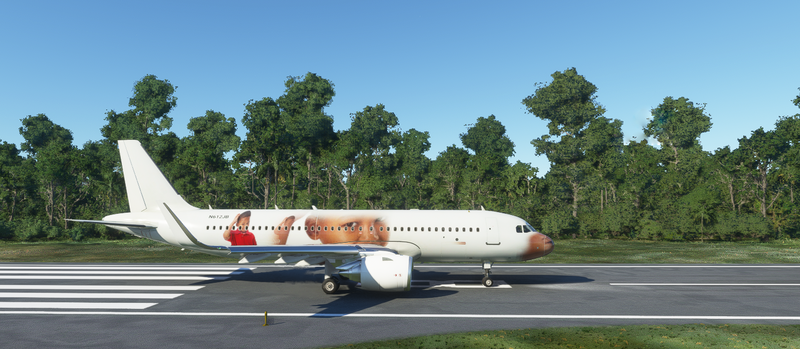 CURSED THINKING KID - MEME LIVERY for Microsoft Flight Simulator | MSFS
