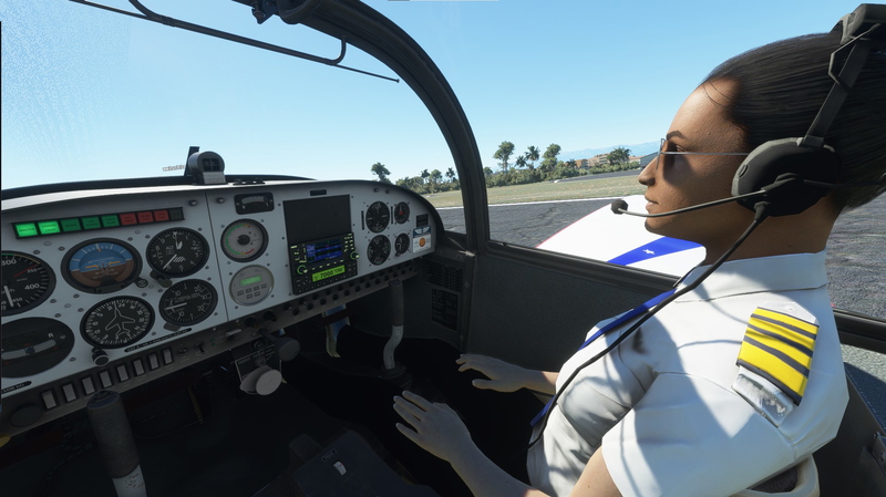 Add Co-pilot to your cockpit (Standard Edition) for Microsoft Flight ...