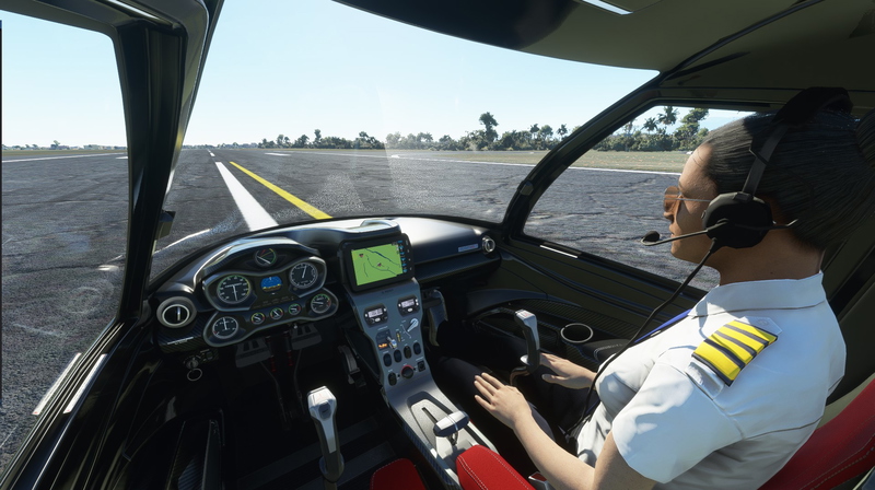 Add Co-pilot to your cockpit (Standard Edition) for Microsoft Flight ...