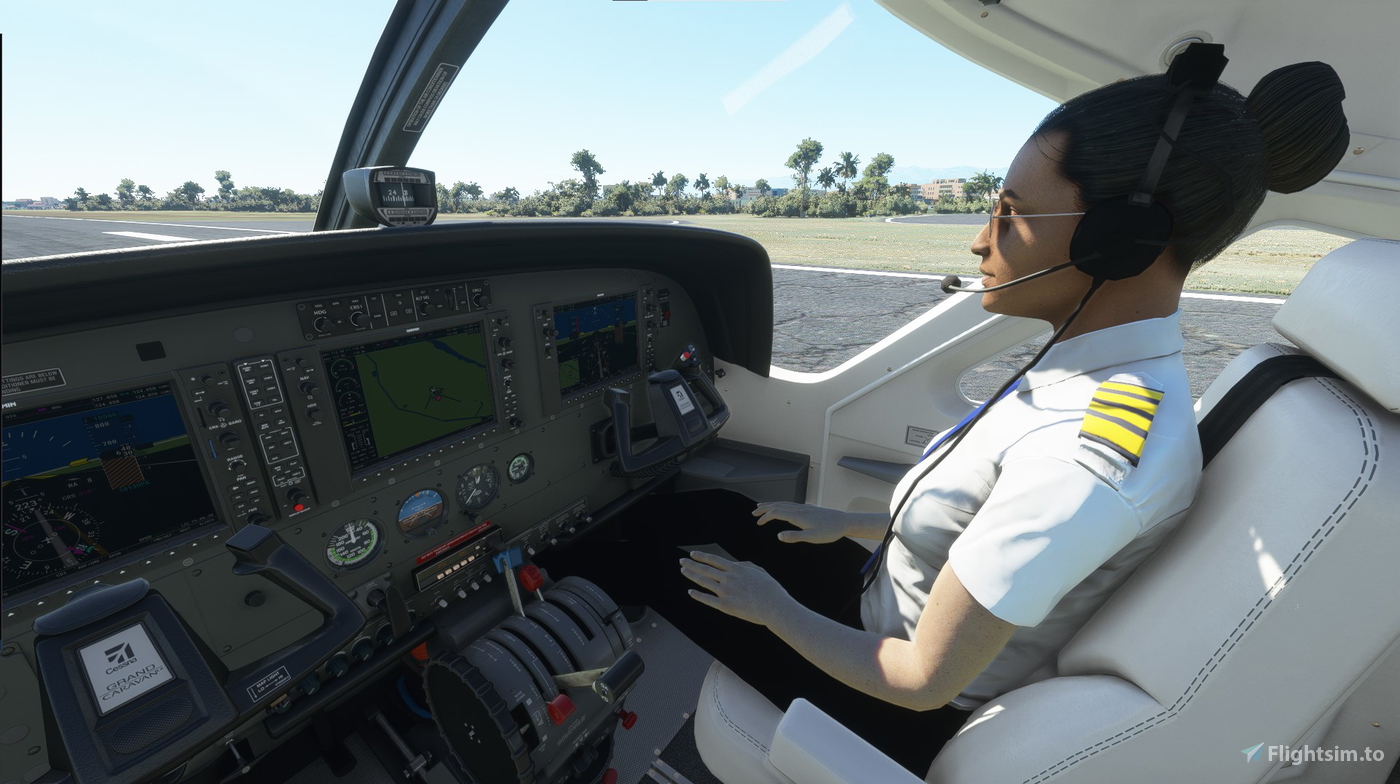 Add Co-pilot to your cockpit (Standard Edition) for Microsoft Flight ...