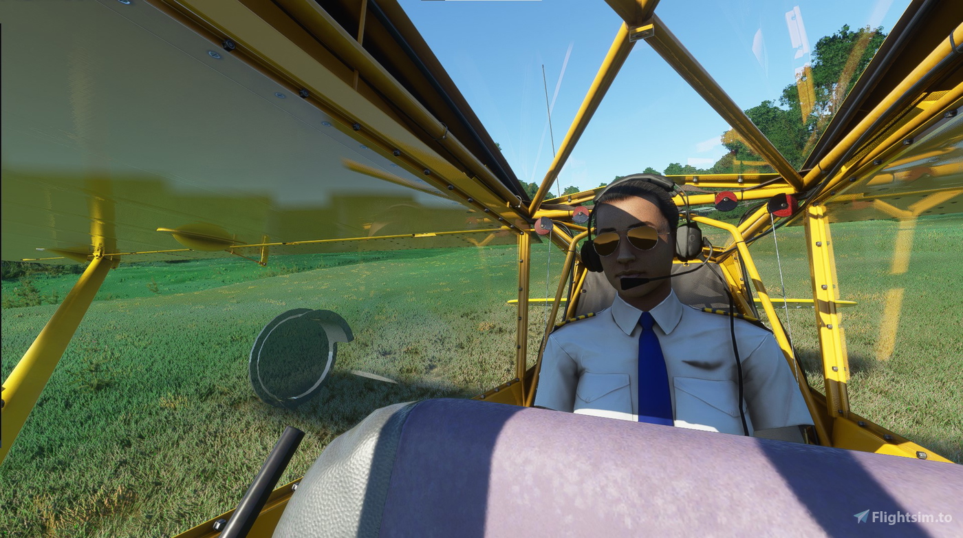 Add Co-pilot to your cockpit (Standard Edition) for Microsoft Flight ...