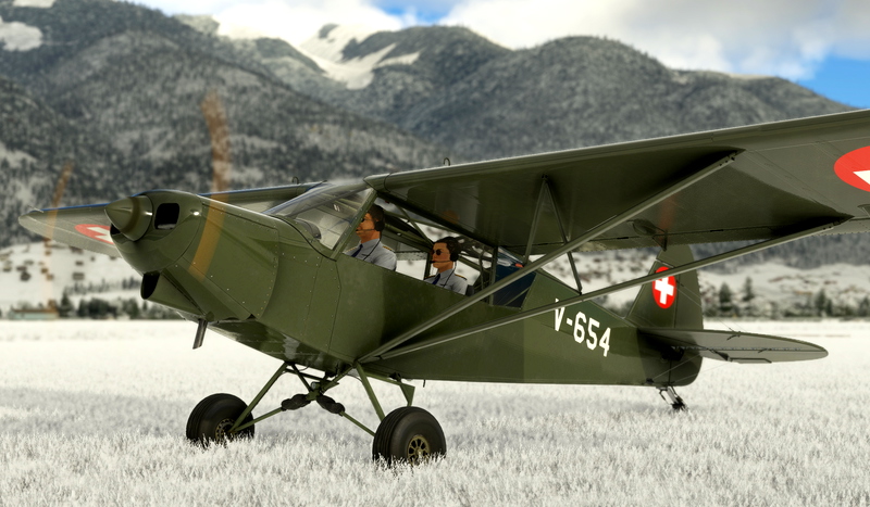 Zlin Savage Cub Liveries for Microsoft Flight Simulator | MSFS ...