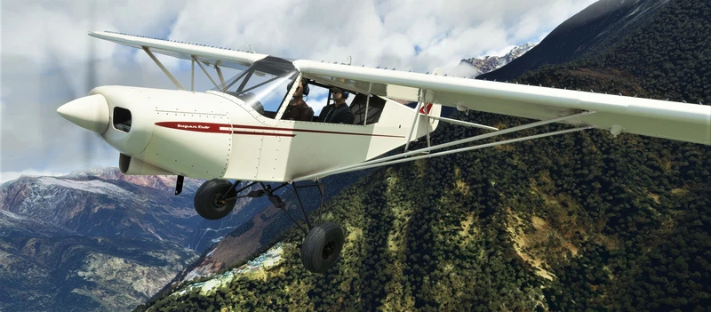Zlin Savage Cub Liveries for Microsoft Flight Simulator | MSFS