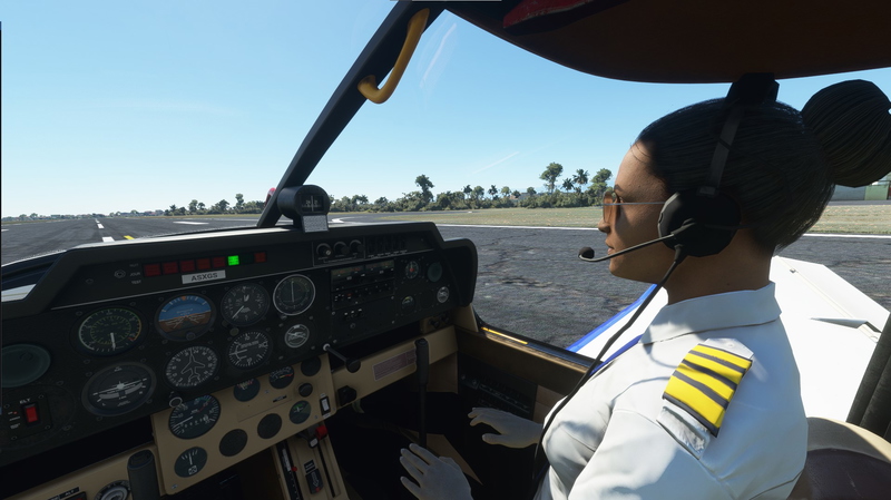 Add Co-pilot to your cockpit (Standard Edition) for Microsoft Flight ...