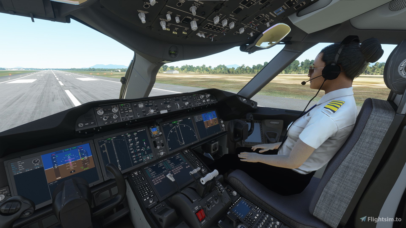 Add Co-pilot to your cockpit (Premium Deluxe Edition) for Microsoft ...