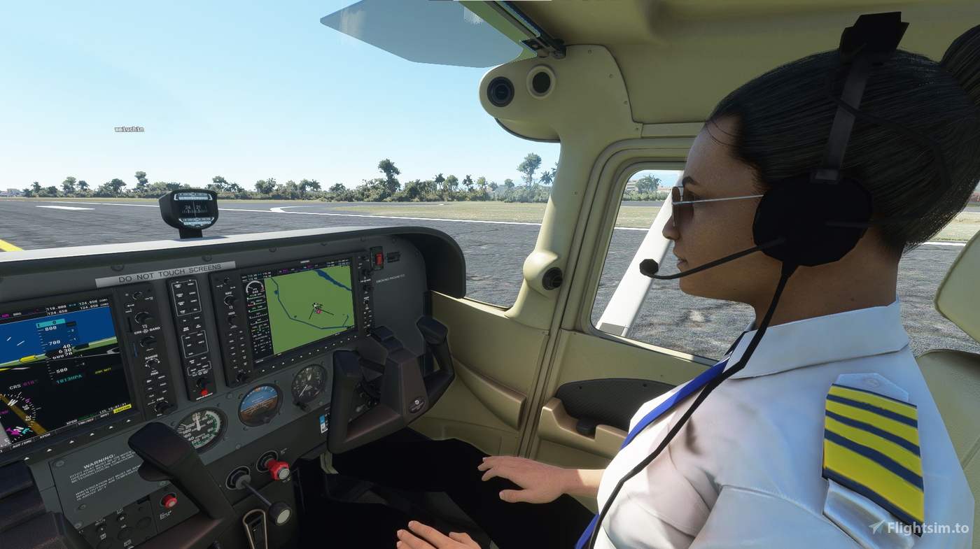 Add Co-pilot to your cockpit (Standard Edition) for Microsoft Flight ...