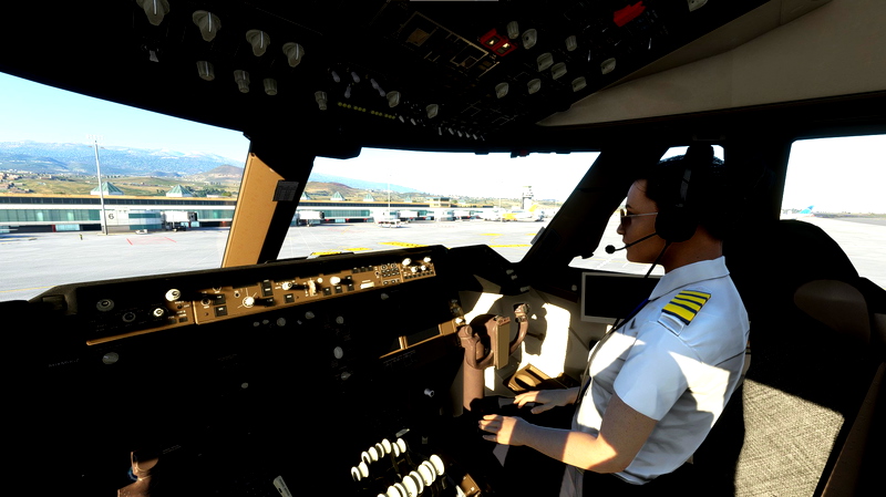 Add Co-pilot to your cockpit (Standard Edition) for Microsoft Flight ...