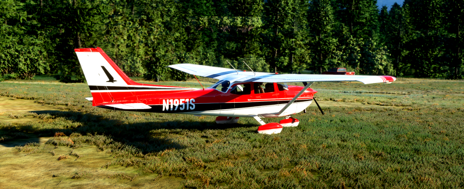 Cessna 172 Liveries for Microsoft Flight Simulator | MSFS | Flightsim.to