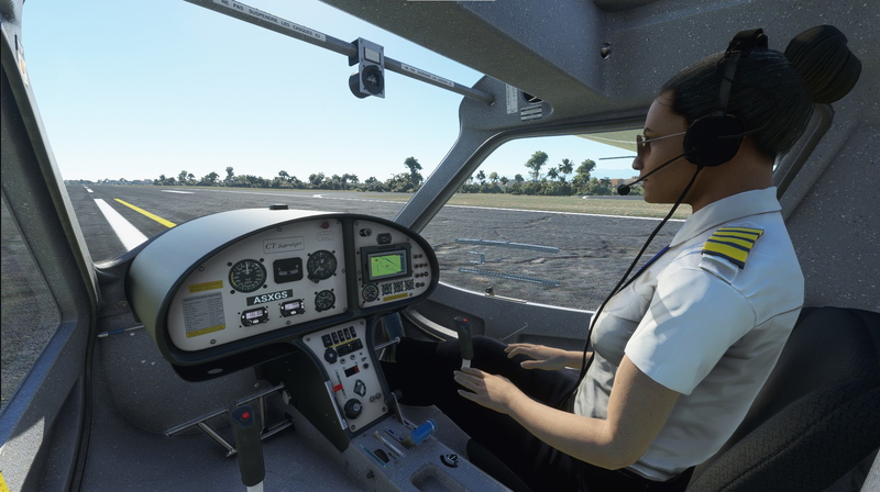 Add Co-pilot to your cockpit (Standard Edition) for Microsoft Flight ...