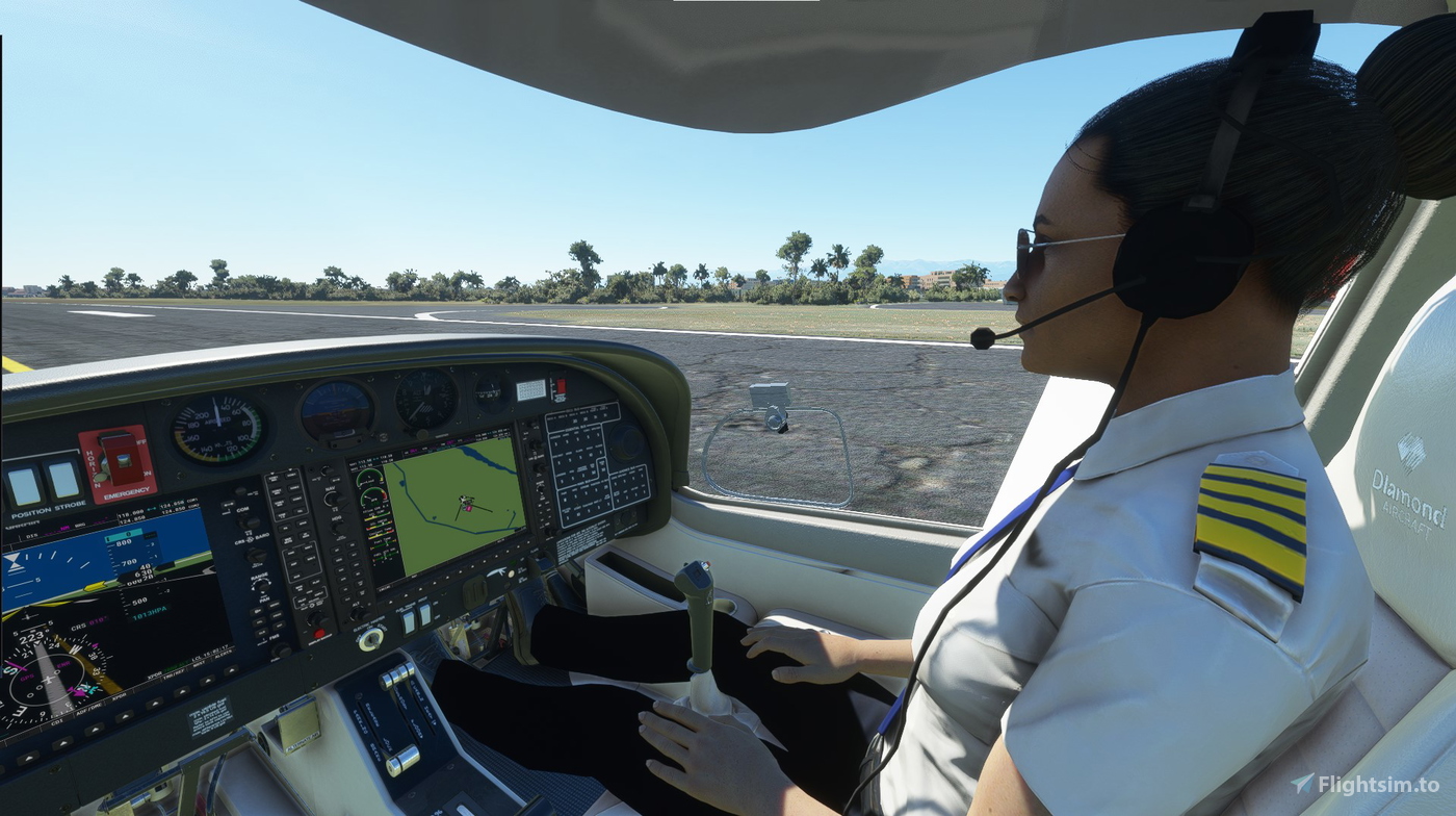 Add Co-pilot to your cockpit (Standard Edition) for Microsoft Flight ...