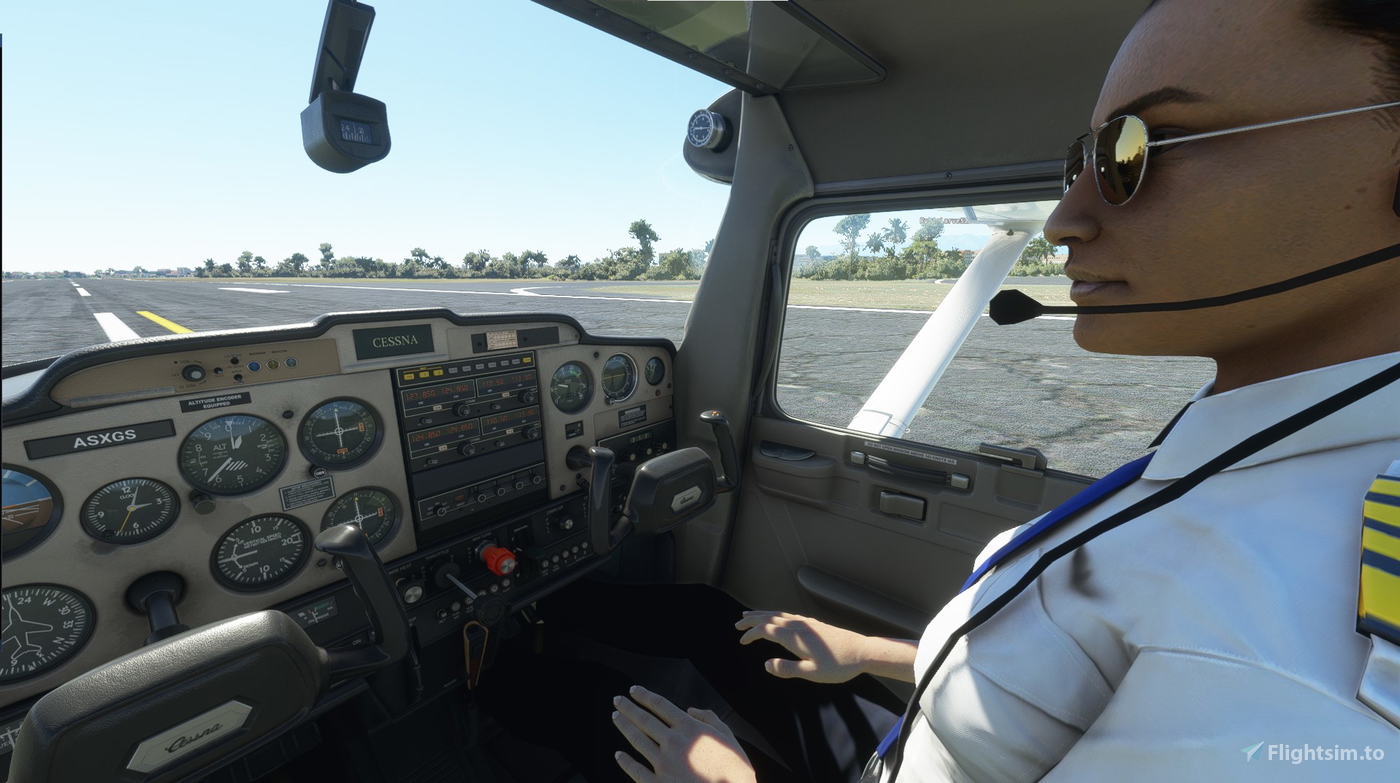 Add Co-pilot to your cockpit (Standard Edition) for Microsoft Flight ...