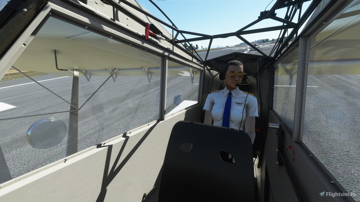 Add Co-pilot to your cockpit (Premium Deluxe Edition) for Microsoft ...