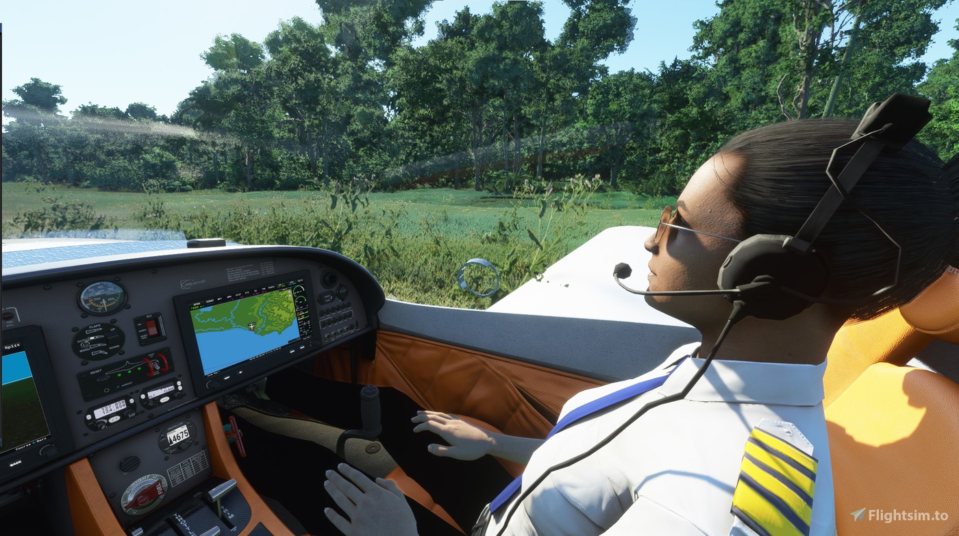 Add Co-pilot to your cockpit (Standard Edition) for Microsoft Flight ...