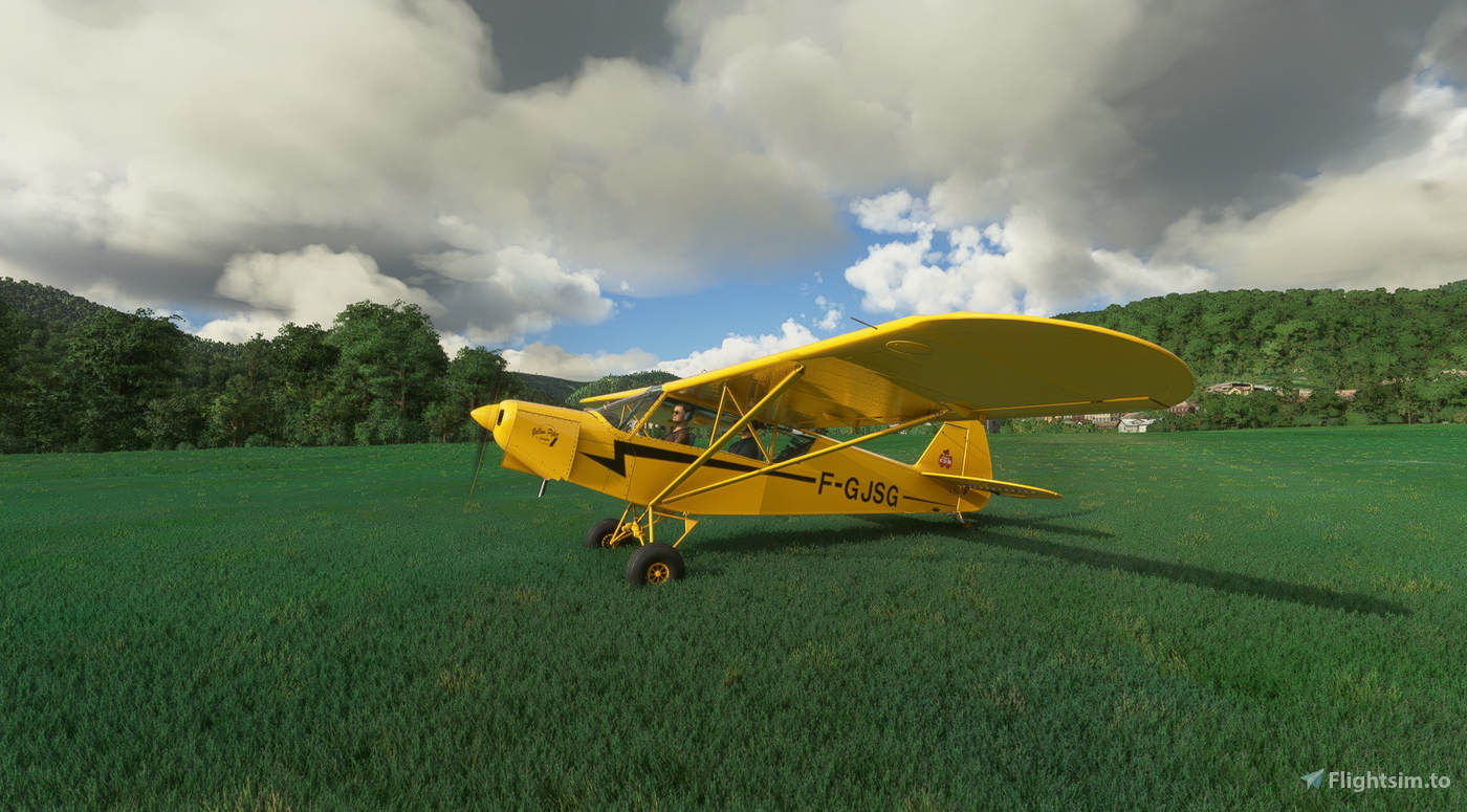 Zlin Savage Cub F-GETT & F-GJSG for Microsoft Flight Simulator | MSFS