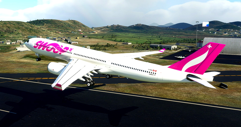 PMP Airbus A330 Liveries for Microsoft Flight Simulator | MSFS | Flightsim.to
