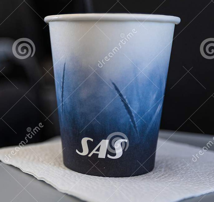 SAS Cup - A32NX for Microsoft Flight Simulator | MSFS
