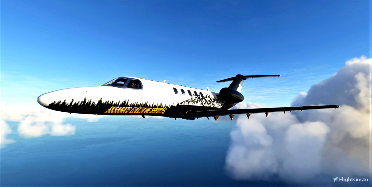 Cessna Citation CJ4 Liveries for Microsoft Flight Simulator | MSFS ...