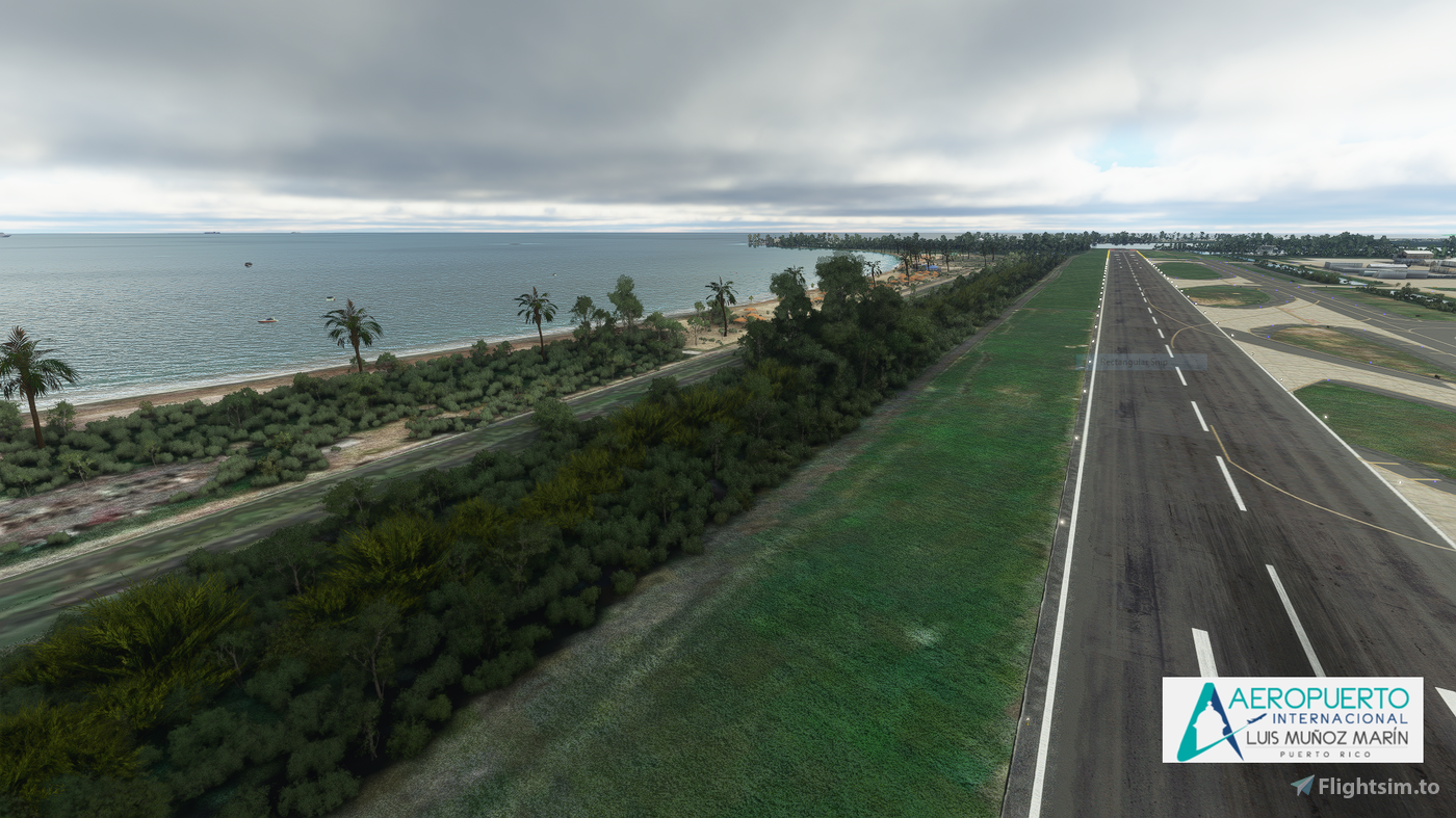 Static Airliners for TJSJ for Microsoft Flight Simulator | MSFS