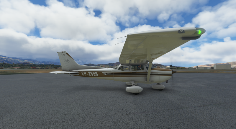 Cessna 172 Liveries for Microsoft Flight Simulator | MSFS