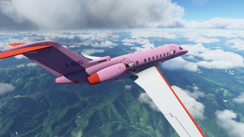 Citation Longitude Liveries for Microsoft Flight Simulator | MSFS