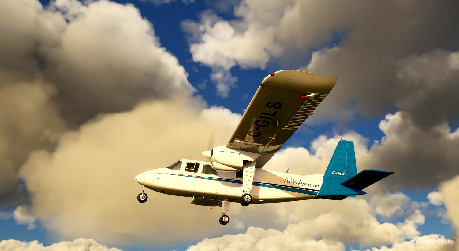 BN2 Islander Liveries for Microsoft Flight Simulator | MSFS | Flightsim.to