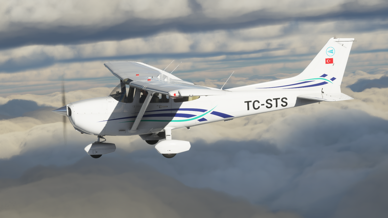 Cessna 172 Liveries for Microsoft Flight Simulator | MSFS