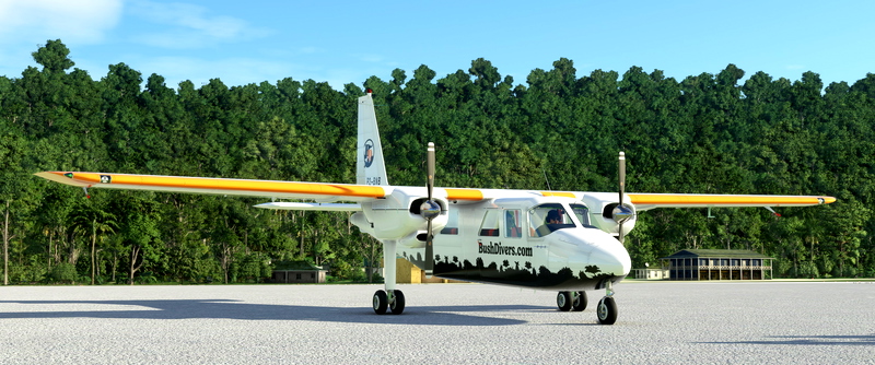 BN2 Islander Liveries for Microsoft Flight Simulator | MSFS | Flightsim.to