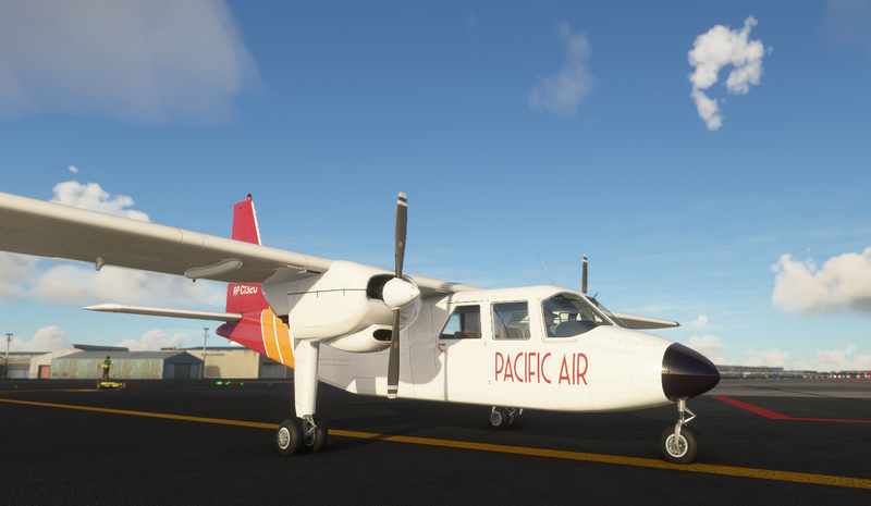 BN2 Islander Liveries for Microsoft Flight Simulator | MSFS