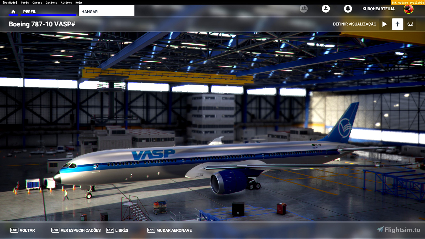 787-VASP (FICTICIO) » Microsoft Flight Simulator
