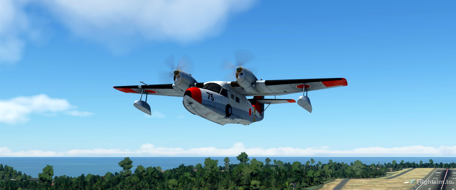 Grumman G44A Liveries for Microsoft Flight Simulator | MSFS | Flightsim.to