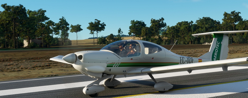 Diamond DA40 Liveries for Microsoft Flight Simulator | MSFS