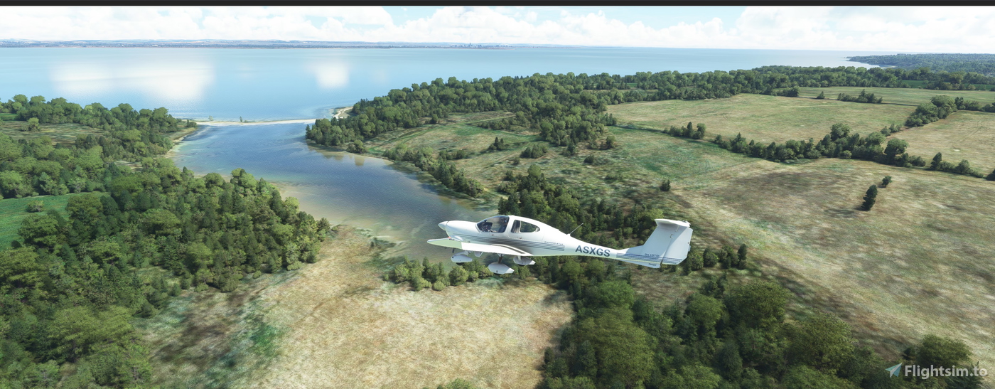 Shorter Trees / Tree Height Modification VERSION 4.0 for MFS2020 ...