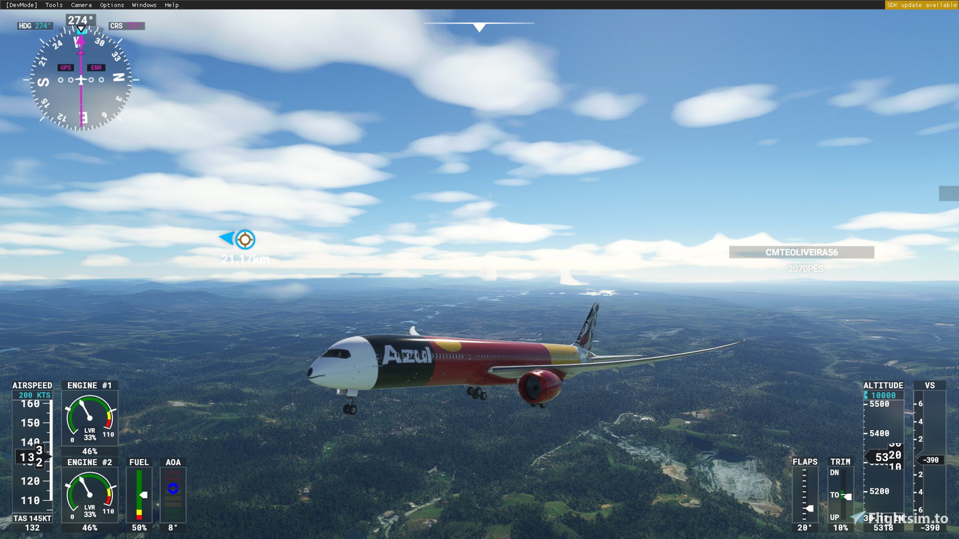 AZUL MICKEY for Microsoft Flight Simulator | MSFS