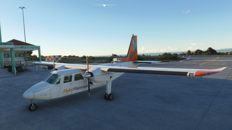 BN2 Islander Liveries for Microsoft Flight Simulator | MSFS