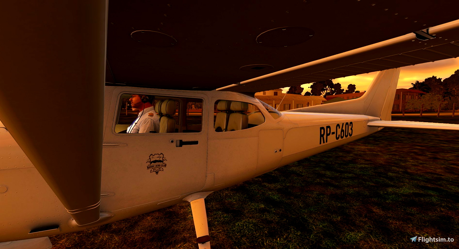 Cessna 172 Liveries for Microsoft Flight Simulator | MSFS | Flightsim.to