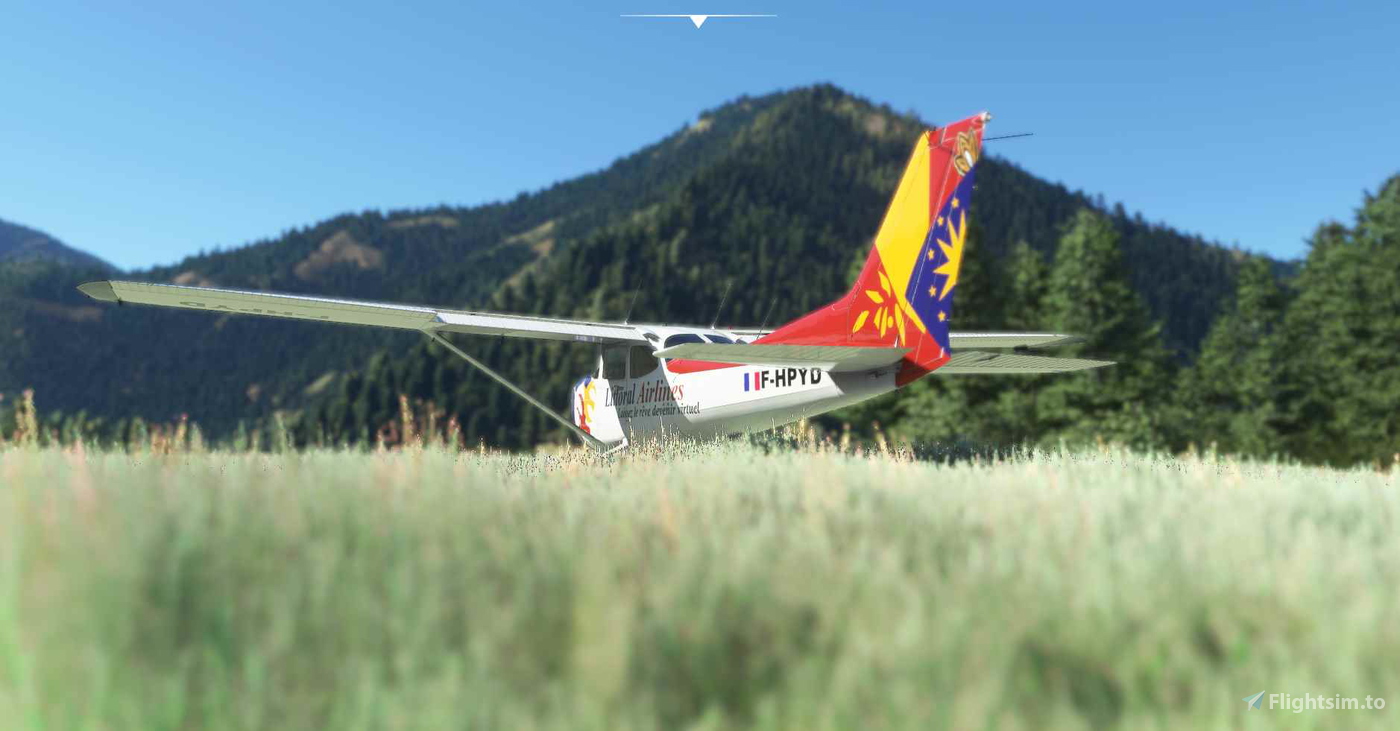 Cessna C172 (Classic) Littoral Airlines for Microsoft Flight Simulator ...